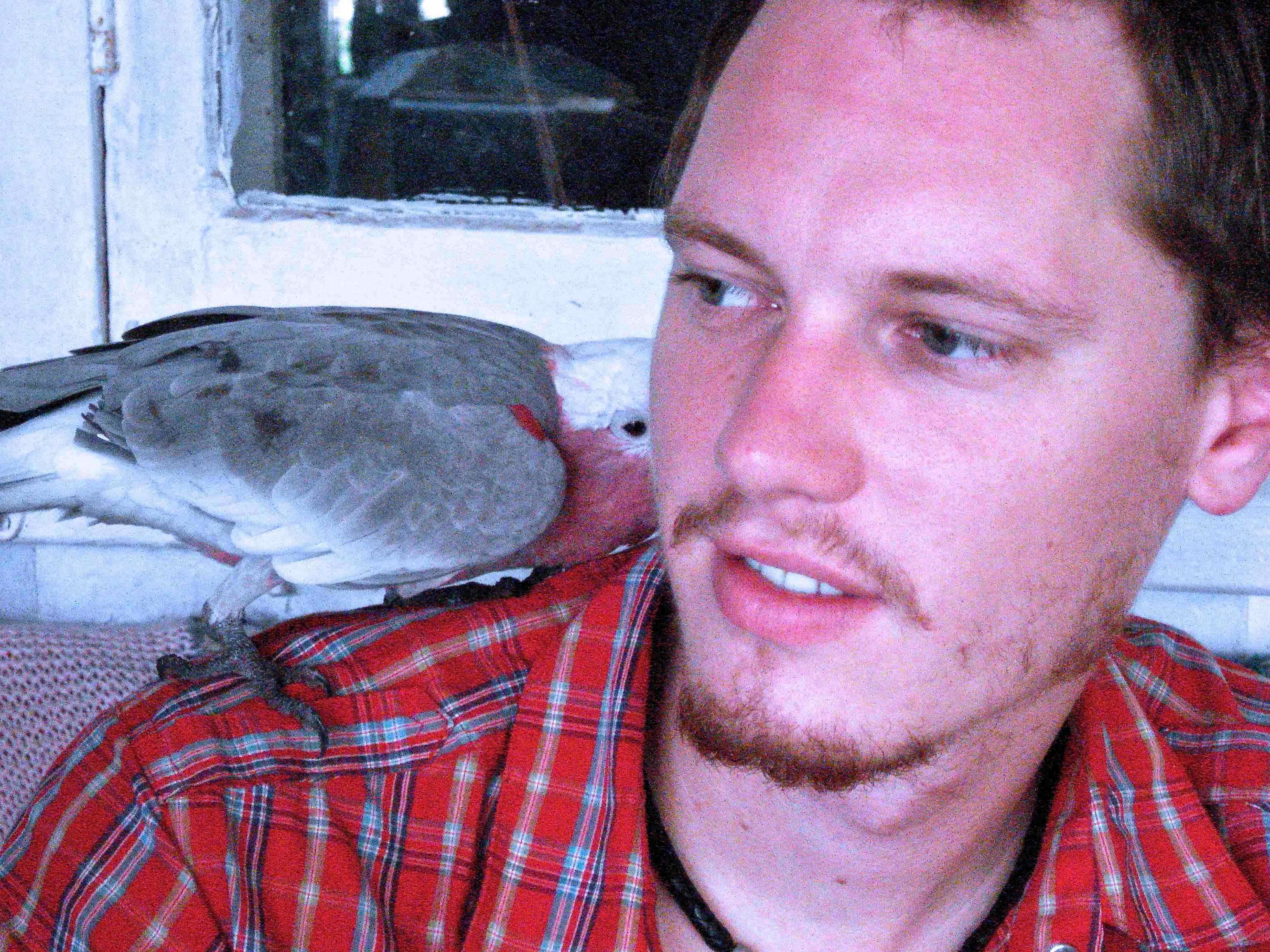 Hearts Wide Open - Circus Folk